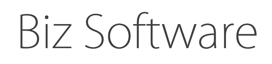 Biz Software for managing sales, purchases and budgets for small business.